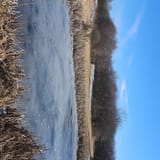 Buzzard Swamp Loop Trail, Pennsylvania - 85 Reviews, Map | AllTrails