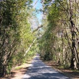 Archer Braid Trail, Florida - 23 Reviews, Map | AllTrails