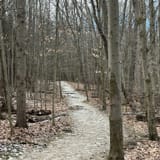 Plateau Trail, Ohio - 3,252 Reviews, Map | AllTrails