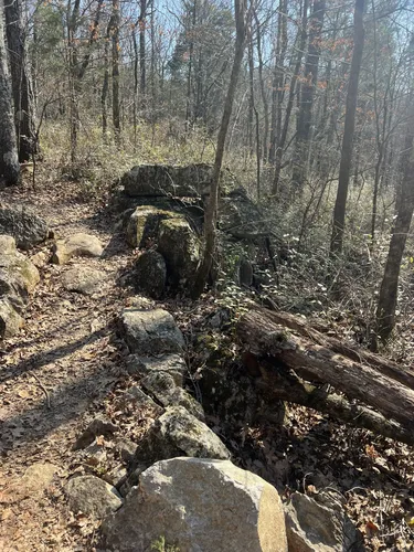 Best Hikes and Trails in Chapman Mountain Nature Preserve | AllTrails