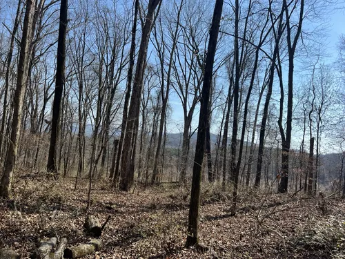 Best Hikes and Trails in Chapman Mountain Nature Preserve | AllTrails