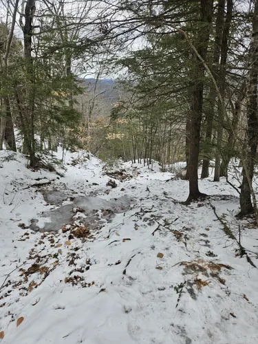 Best Snowshoeing Trails in Center Strafford | AllTrails