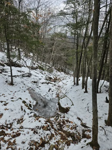 Best Snowshoeing Trails in Center Strafford | AllTrails