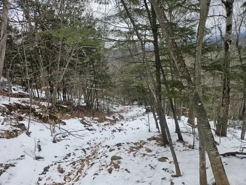 Best Snowshoeing Trails in Center Strafford | AllTrails