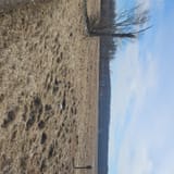 Buzzard Swamp Loop Trail, Pennsylvania - 85 Reviews, Map | AllTrails