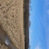 Buzzard Swamp Loop Trail, Pennsylvania - 85 Reviews, Map | AllTrails