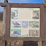 Buzzard Swamp Loop Trail, Pennsylvania - 85 Reviews, Map | AllTrails