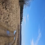 Buzzard Swamp Loop Trail, Pennsylvania - 85 Reviews, Map | AllTrails