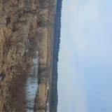 Buzzard Swamp Loop Trail, Pennsylvania - 85 Reviews, Map | AllTrails