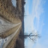 Buzzard Swamp Loop Trail, Pennsylvania - 85 Reviews, Map | AllTrails