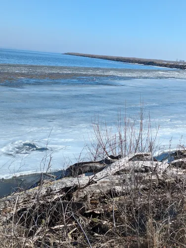 Best Hikes and Trails in Pointe Mouille State Game Area | AllTrails