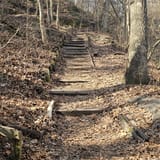 French Canyon Trail, Illinois - 650 Reviews, Map | AllTrails