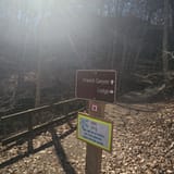 French Canyon Trail, Illinois - 650 Reviews, Map | AllTrails