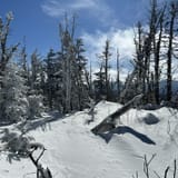 Mount Tom, Avalon, and Field Loop, New Hampshire - 1,367 Reviews, Map ...