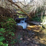 Bulls Bay Preserve Trail, Florida - 234 Reviews, Map | AllTrails