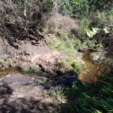 Bulls Bay Preserve Trail, Florida - 234 Reviews, Map | AllTrails