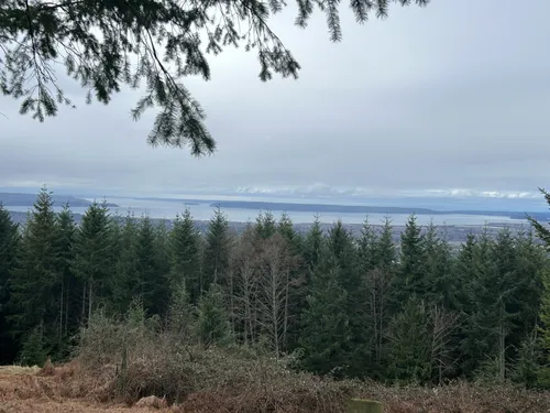 Best Hikes and Trails in Pilchuck Tree Farm | AllTrails