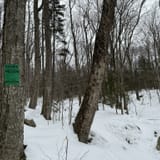 Mount Lafayette and Franconia Ridge Trail Loop, New Hampshire - 12,484 ...