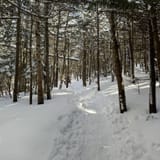 Mount Lafayette and Franconia Ridge Trail Loop, New Hampshire - 12,484 ...