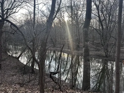 Best Hikes and Trails in Harris Nature Center | AllTrails
