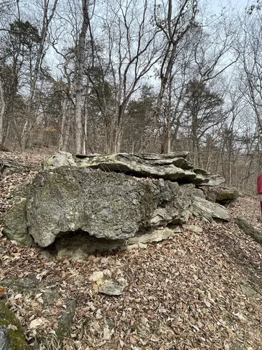 Best Hikes and Trails in Painted Rock Conservation Area | AllTrails