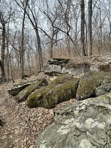 Best Hikes and Trails in Painted Rock Conservation Area | AllTrails