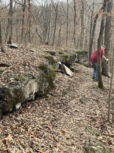 Best Hikes and Trails in Painted Rock Conservation Area | AllTrails