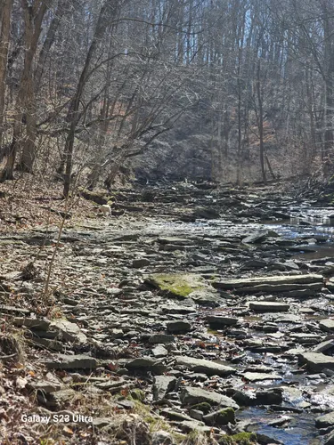 Best Long Trails in East Fork State Park | AllTrails