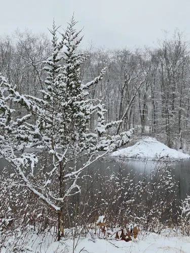 Best Easy Trails in Ivoryton | AllTrails