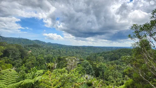 10 Best Easy Trails in Waitakere Ranges Regional Park | AllTrails