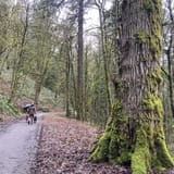 Forest Park Ridge Trail, Oregon - 1,267 Reviews, Map | AllTrails