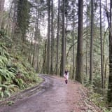 Forest Park Ridge Trail, Oregon - 1,267 Reviews, Map | AllTrails