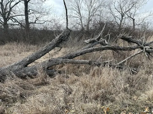 Best Hikes and Trails in Forest Run Wildlife Preserve Metropark | AllTrails