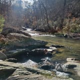 Cheaha Wilderness 30 Mile Loop, Alabama - 75 Reviews, Map | AllTrails