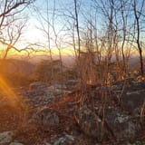 Cheaha Wilderness 30 Mile Loop, Alabama - 75 Reviews, Map | AllTrails