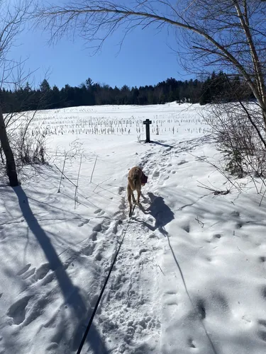 Best Hikes and Trails in East Montpelier Trails | AllTrails