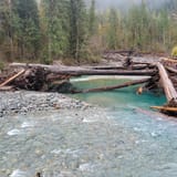 Baker River Trail, Washington - 184 Reviews, Map | AllTrails