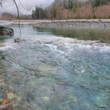 Baker River Trail, Washington - 237 Reviews, Map | AllTrails