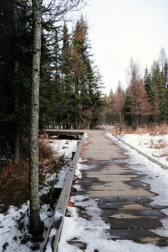 Best Hikes and Trails in Wagner Natural Area | AllTrails