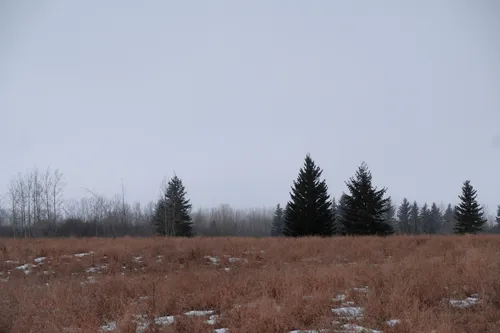 Best Hikes and Trails in Wagner Natural Area | AllTrails