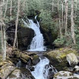 Mouse Creek Falls via Big Creek Trail, Tennessee - 2,563 Reviews, Map ...