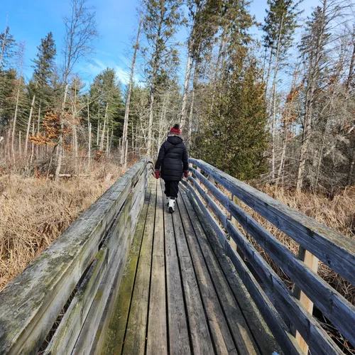 Best Hikes and Trails in Pequot Lakes | AllTrails