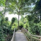Mount Faber Scenic Walking Tour, Central, Singapore - 53 Reviews, Map ...