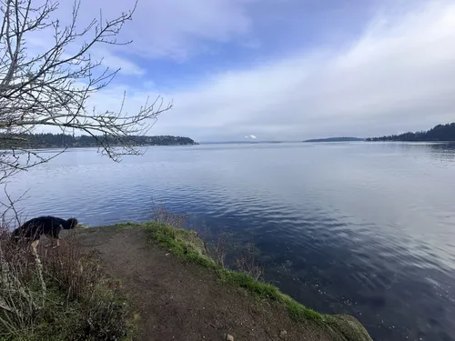 Best Hikes and Trails in Manchester State Park | AllTrails