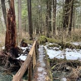 Indian River Trail, Alaska - 278 Reviews, Map | AllTrails