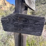 Weavers Needle Loop Trail, Arizona - 581 Reviews, Map | AllTrails