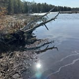 Batsto Lake Trail, New Jersey - 1,583 Reviews, Map | AllTrails