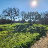 Cibolo Creek Main Trail, Texas - 667 Reviews, Map | AllTrails