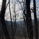 Paris Mountain State Park Loop Trail, South Carolina - 475 Reviews, Map ...