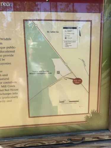 Best Hikes and Trails in Twelve Mile Swamp Conservation Area | AllTrails